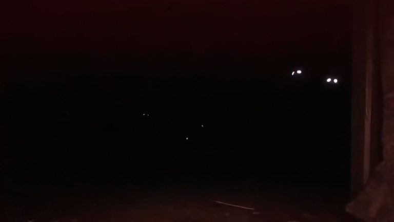 Doors Floor 2 Gloombats Entity Guide – GataGames